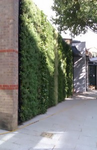 Analysing Raptor at Kent | JISC funded project to evaluate the ease of ...