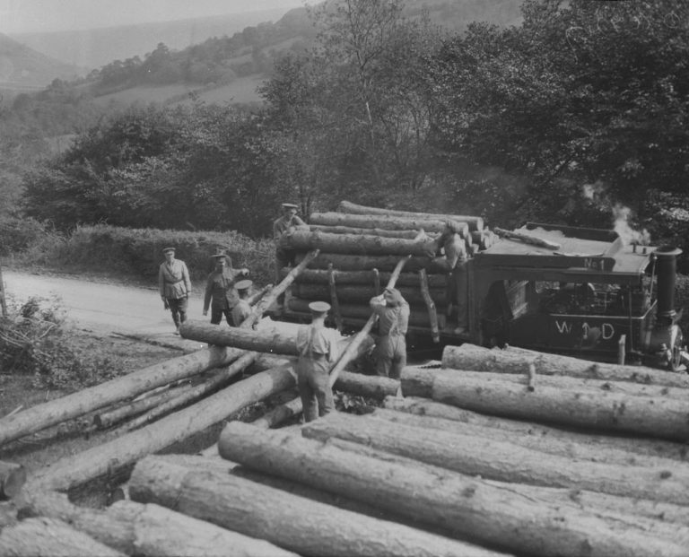 First World War Native Stories. – Beyond the Spectacle