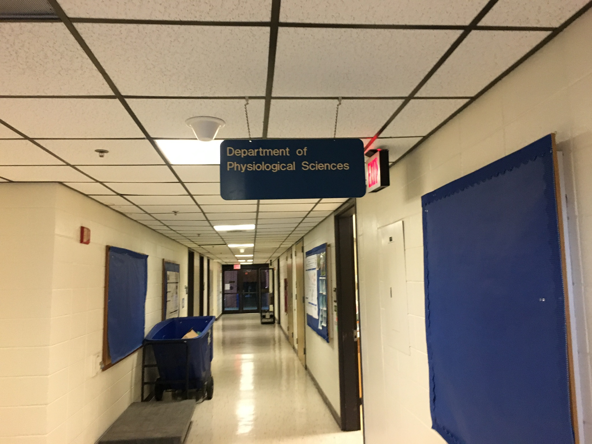 Research visit to the Department of Physiological Sciences at ...
