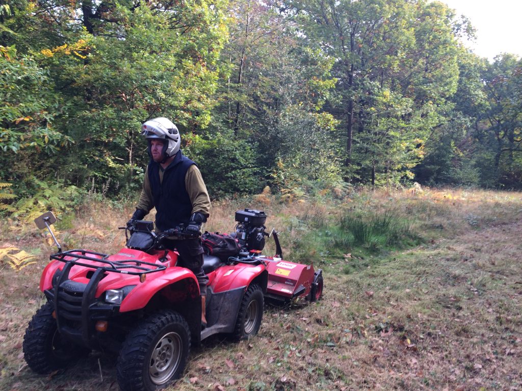 RSPB Blean Woods and Seasalter Levels internship | SAC Student ...