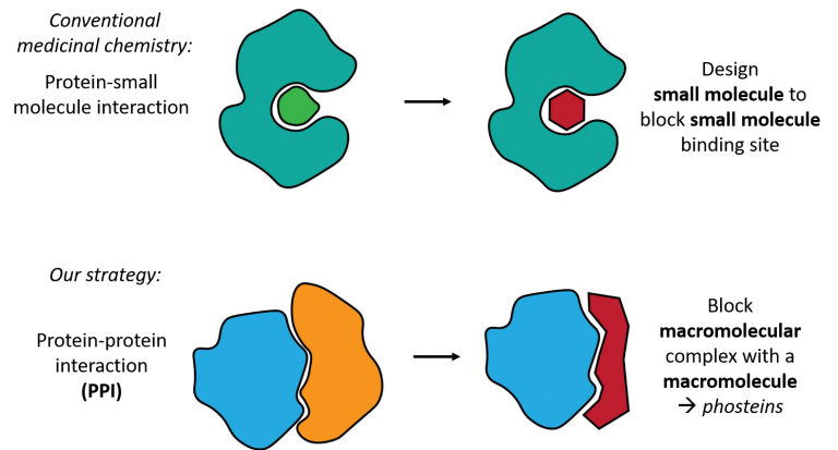 Dr Chris Serpell secures £65k funding for collaborative project with ...