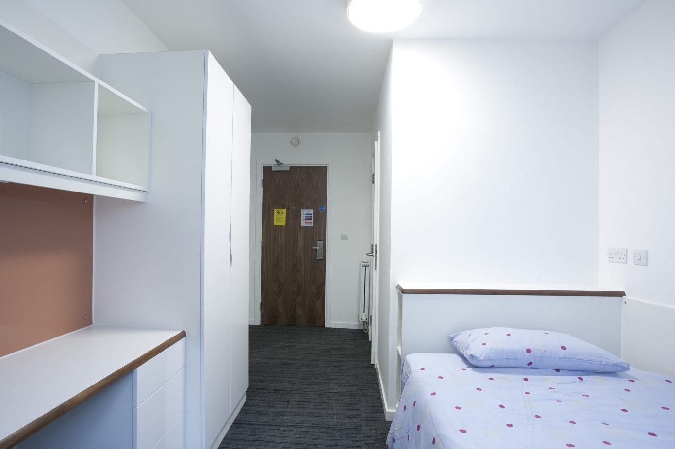 University accommodation achieves high Visit England rating | Staff and ...