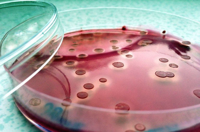 Cellular Dynamics explores hidden beauty in science in image and music ...