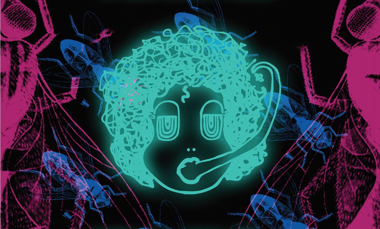 New Studio 3 exhibition: ‘Catching Flies’ | Staff and Student News