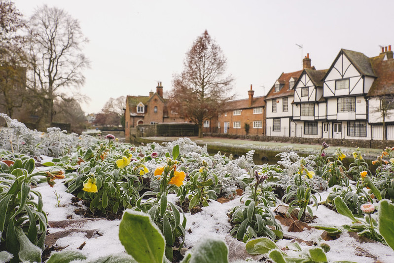 Mahayana New Year – Student News