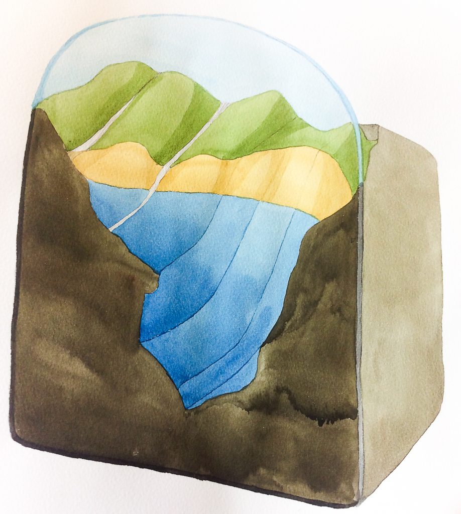 Curio: Sites of Wonder – Studio 3 Gallery